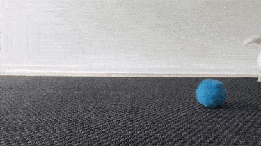 Active Rolling Ball Dog Toy – Barkermeow