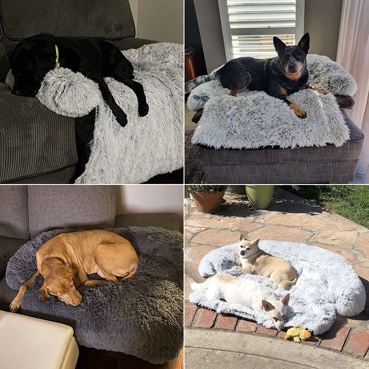 Calming Couch Cover Protector – Barkermeow