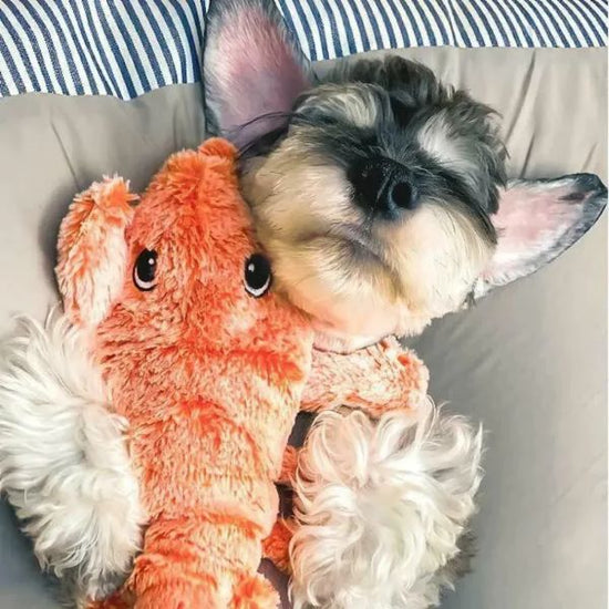 Upgraded Interactive Flopping Fish Dog & Lobster Toy – Barkermeow
