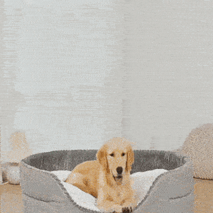 Pet Heaven™ KIMPET Dog Bed – Barkermeow