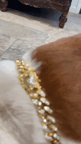Cuban Link Gold Dog Chain – Barkermeow