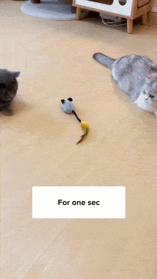 Smart Mouse Cat Toy – Barkermeow