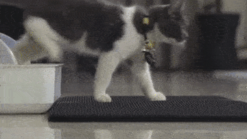 Premium Integrated Cat Litter Scoop – Barkermeow