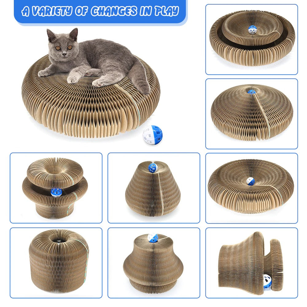 2023 Magic Organ Cat Scratching Board (GEN2,3) – Barkermeow