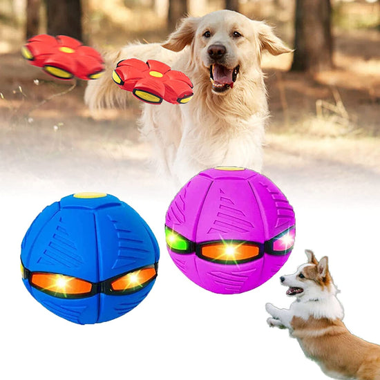 2023 Frisbee Ball Dog Toy – Barkermeow