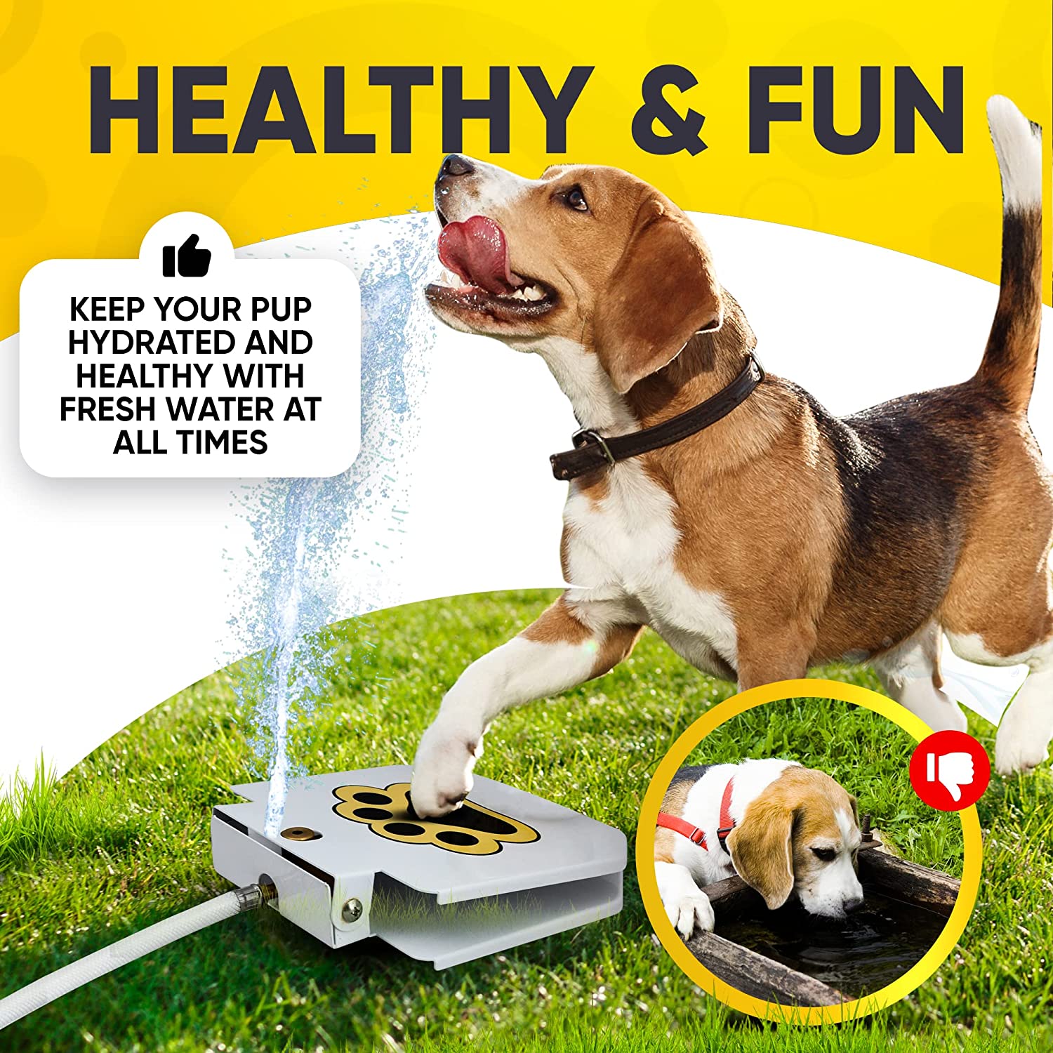 Automatic Dog Paw Water Fountain Dispenser – Barkermeow