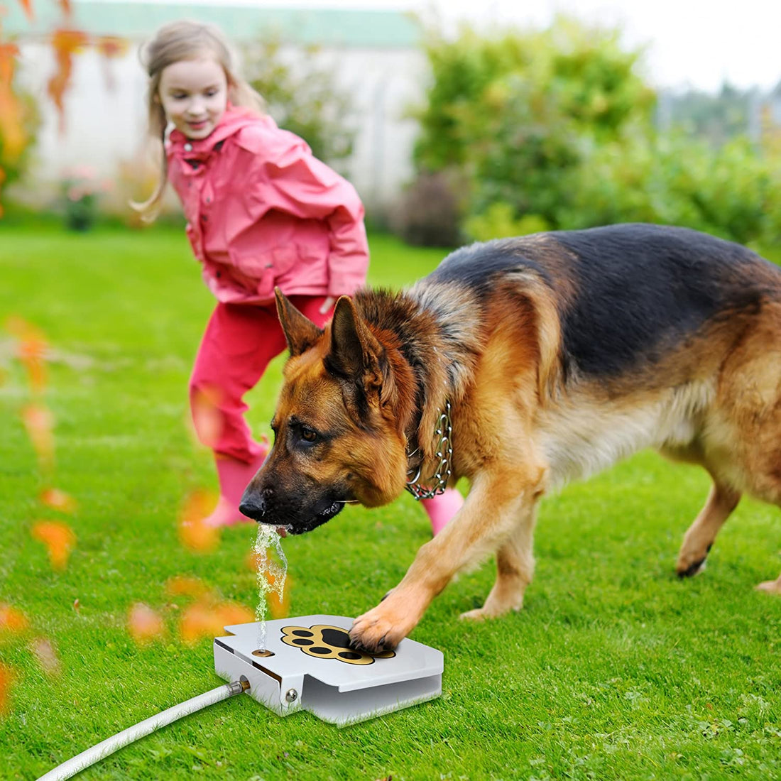 Automatic Dog Paw Water Fountain Dispenser – Barkermeow