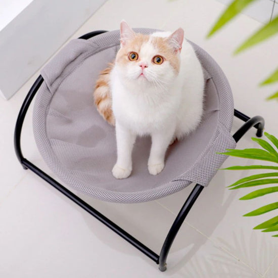Luxury Elevated Cat Hammock Bed – Barkermeow