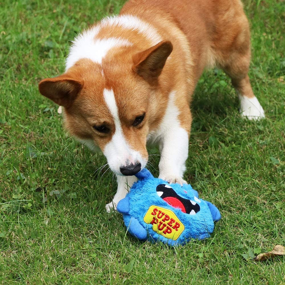 Bouncing Monster Dog Toy – Barkermeow